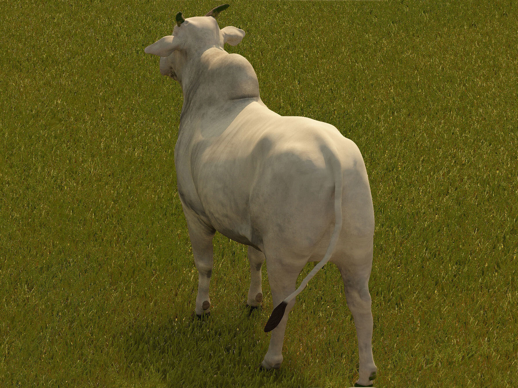 Cattle 3D Model by brunonunesdp