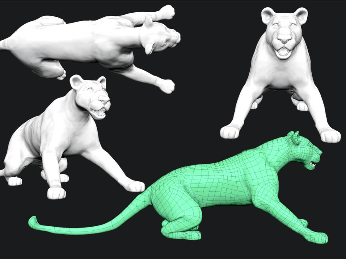 Lion Poses Col - 3D Model by BsTen