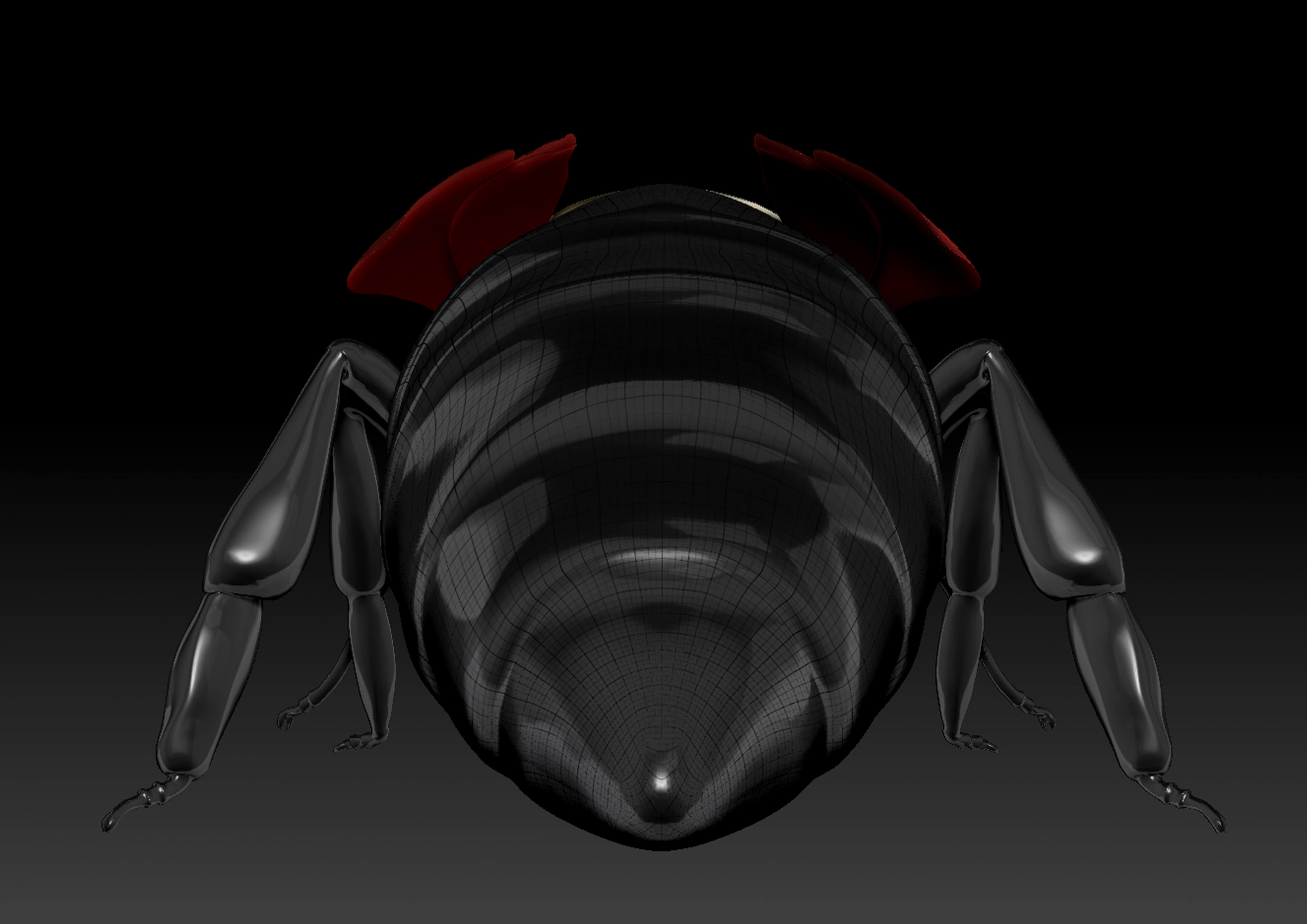 Quinbee Ztl Model by BsTen