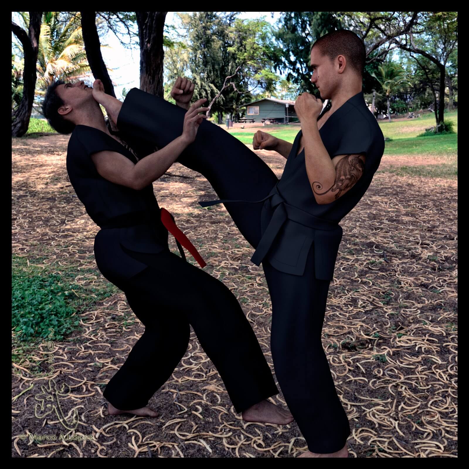 Kumite Maui 3D Render, Digital Art by bu_es