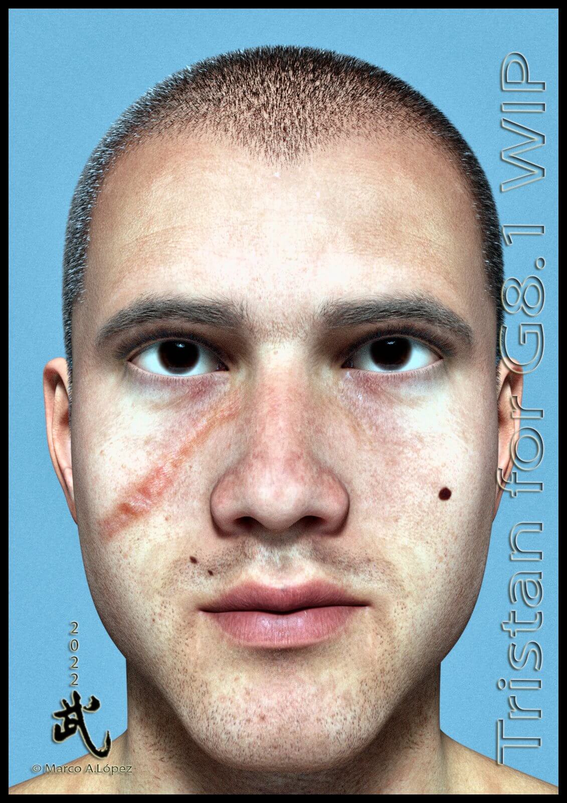 Scar Face (tristan wip) 3D Render, Digital Art by bu_es