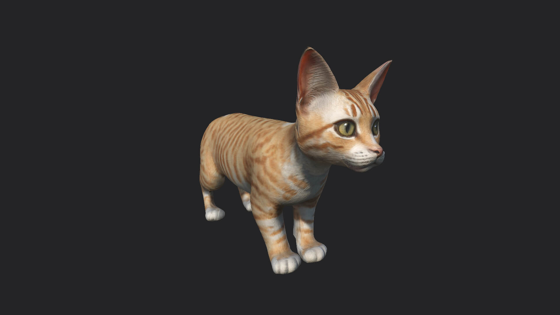 Cat 3D Model 001 by Bubble009