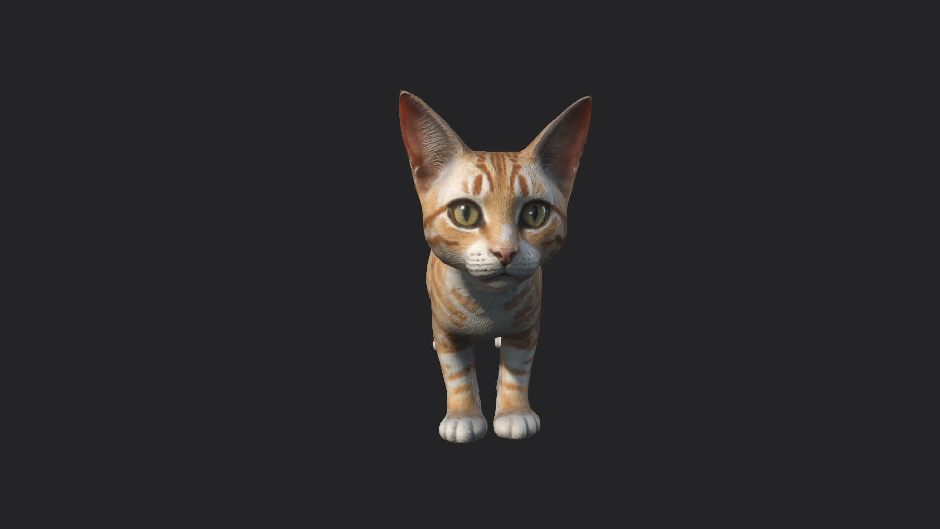 Cat 3D Model 001 by Bubble009