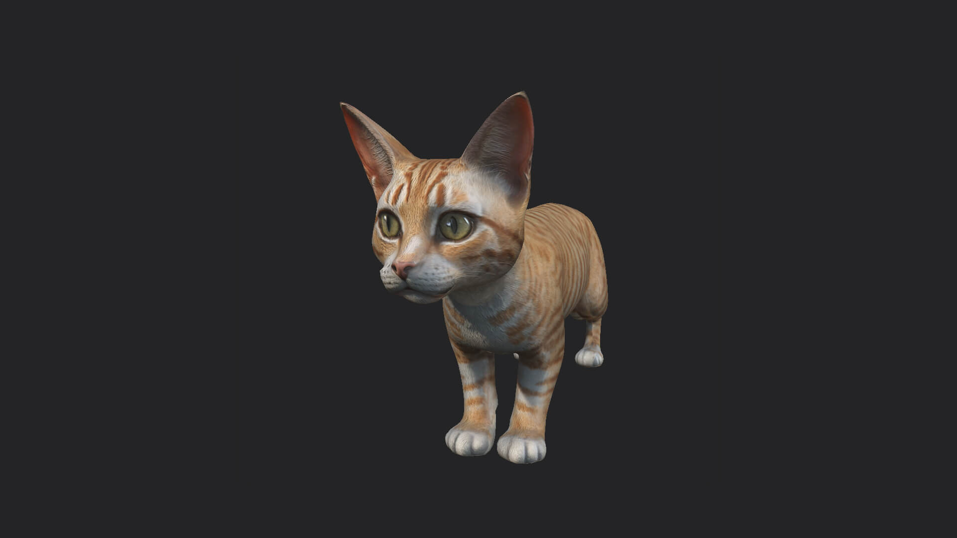 Cat 3D Model 001 by Bubble009