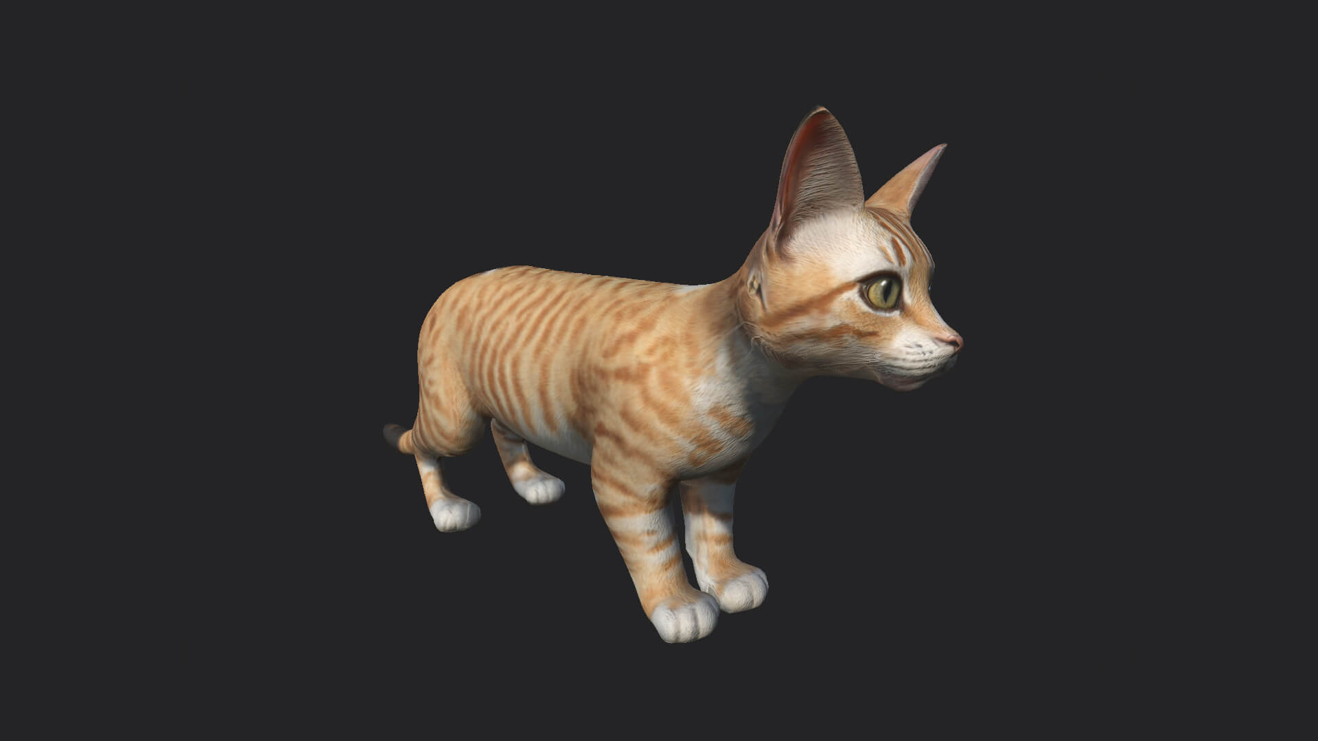 Cat 3D Model 001 by Bubble009