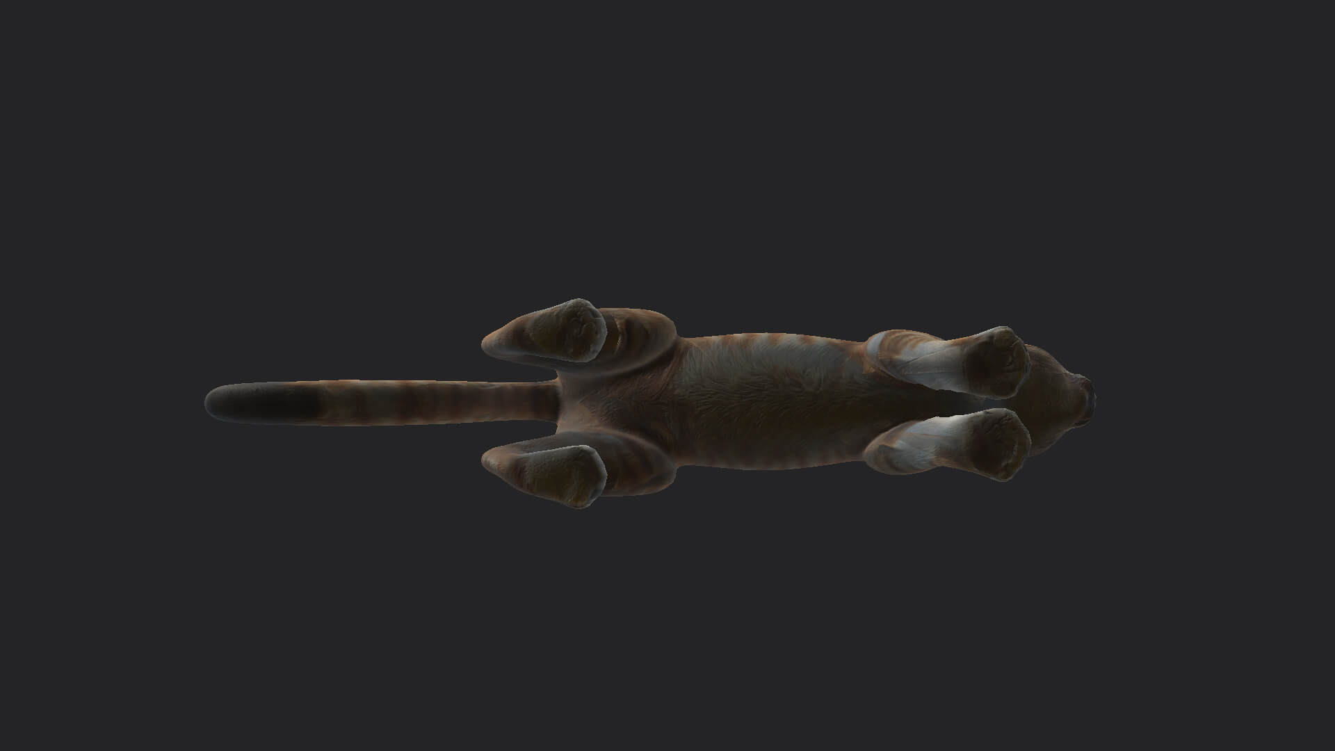 Cat 3D Model 001 by Bubble009