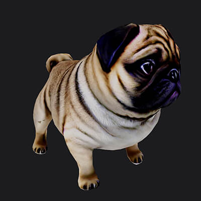 Shar Pei Model 001 by Bubble009