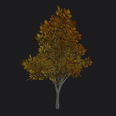 Tree 3D Model 006 by Bubble009