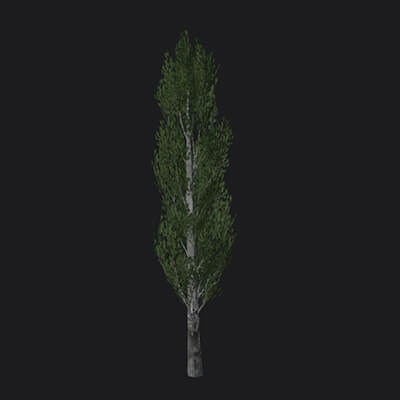 Tree 3D Model 007 by Bubble009
