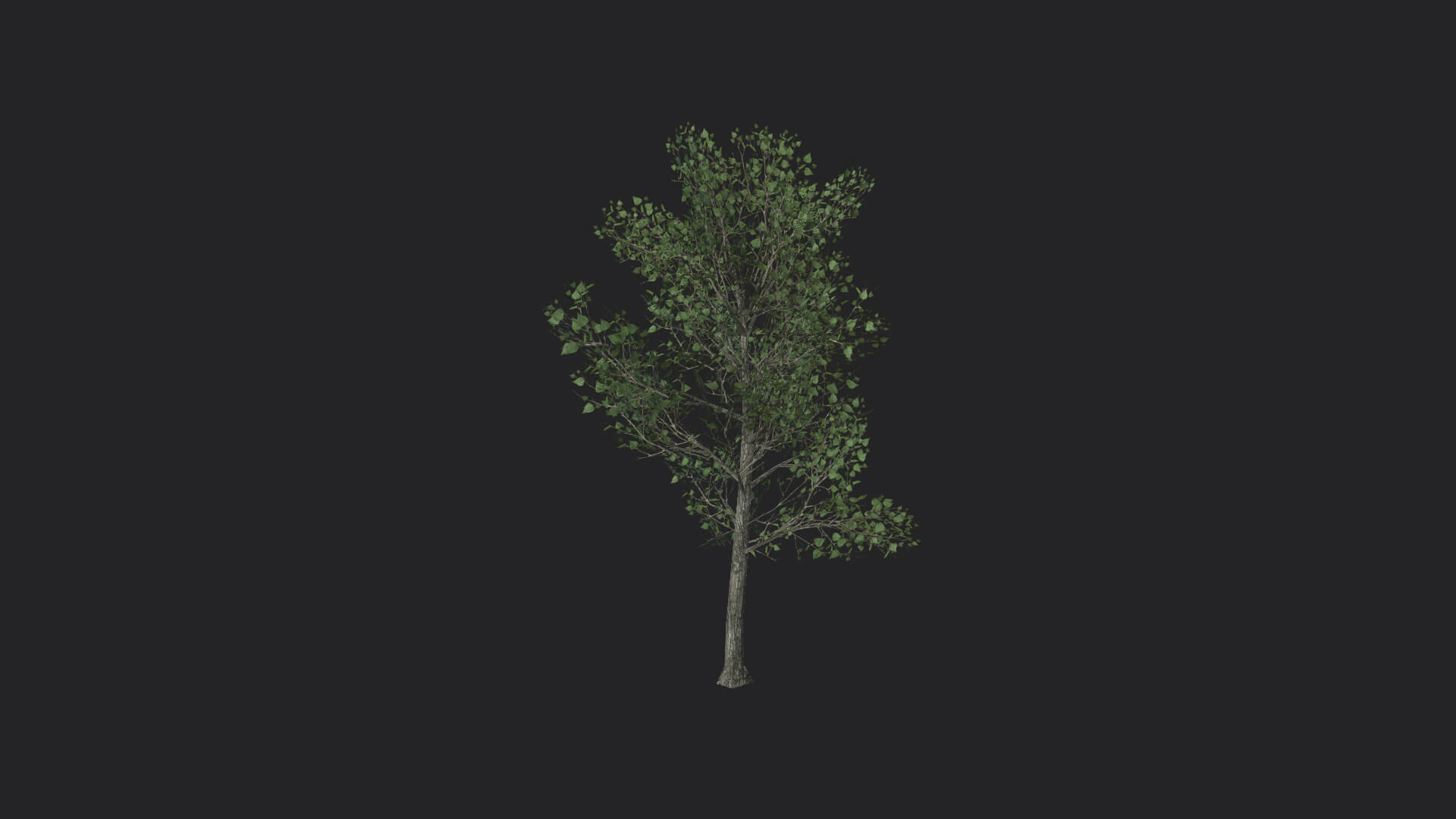 Tree 3D Model 013 by Bubble009