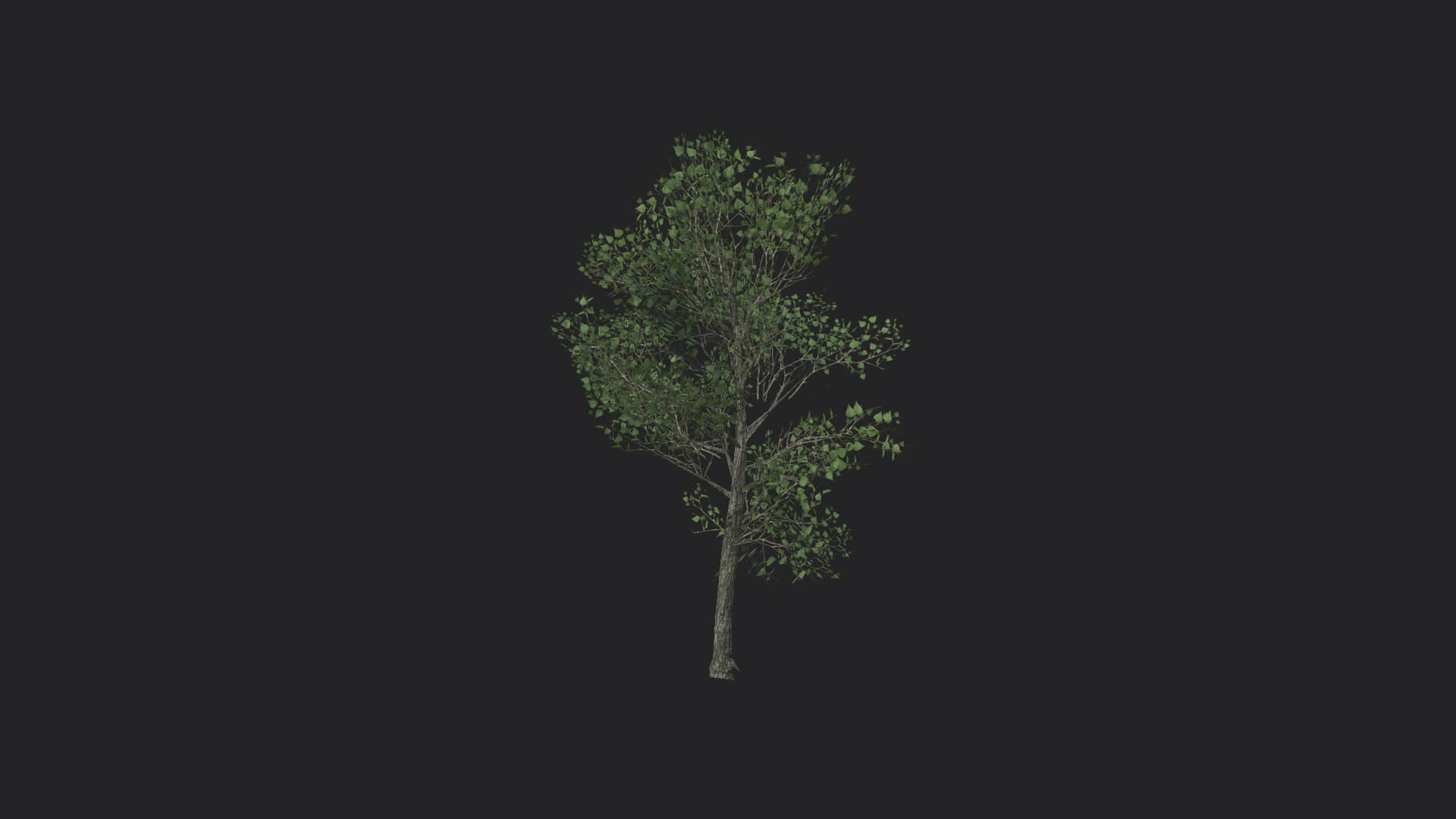 Tree 3D Model 013 by Bubble009