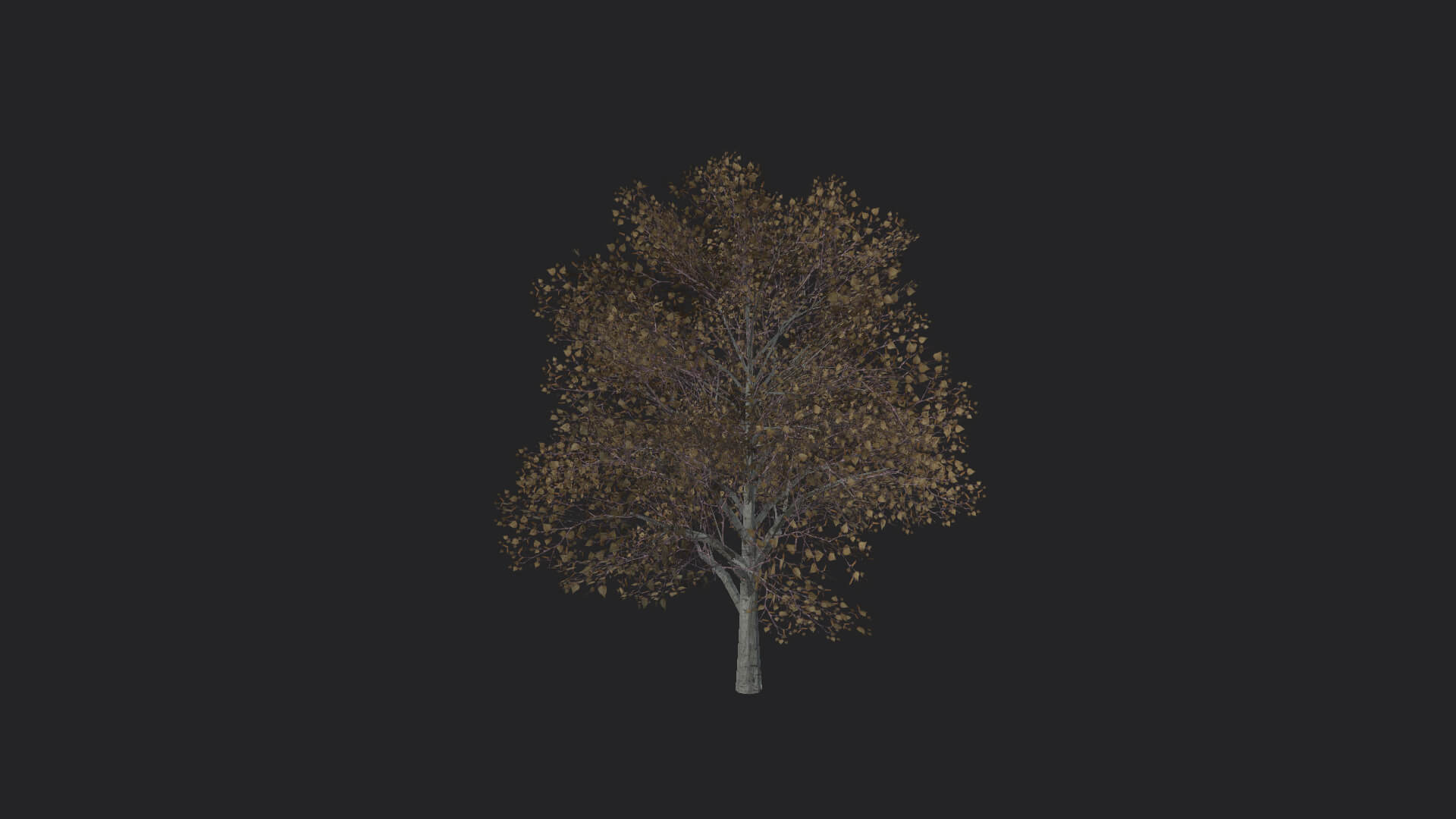Tree 3D Model 014 by Bubble009