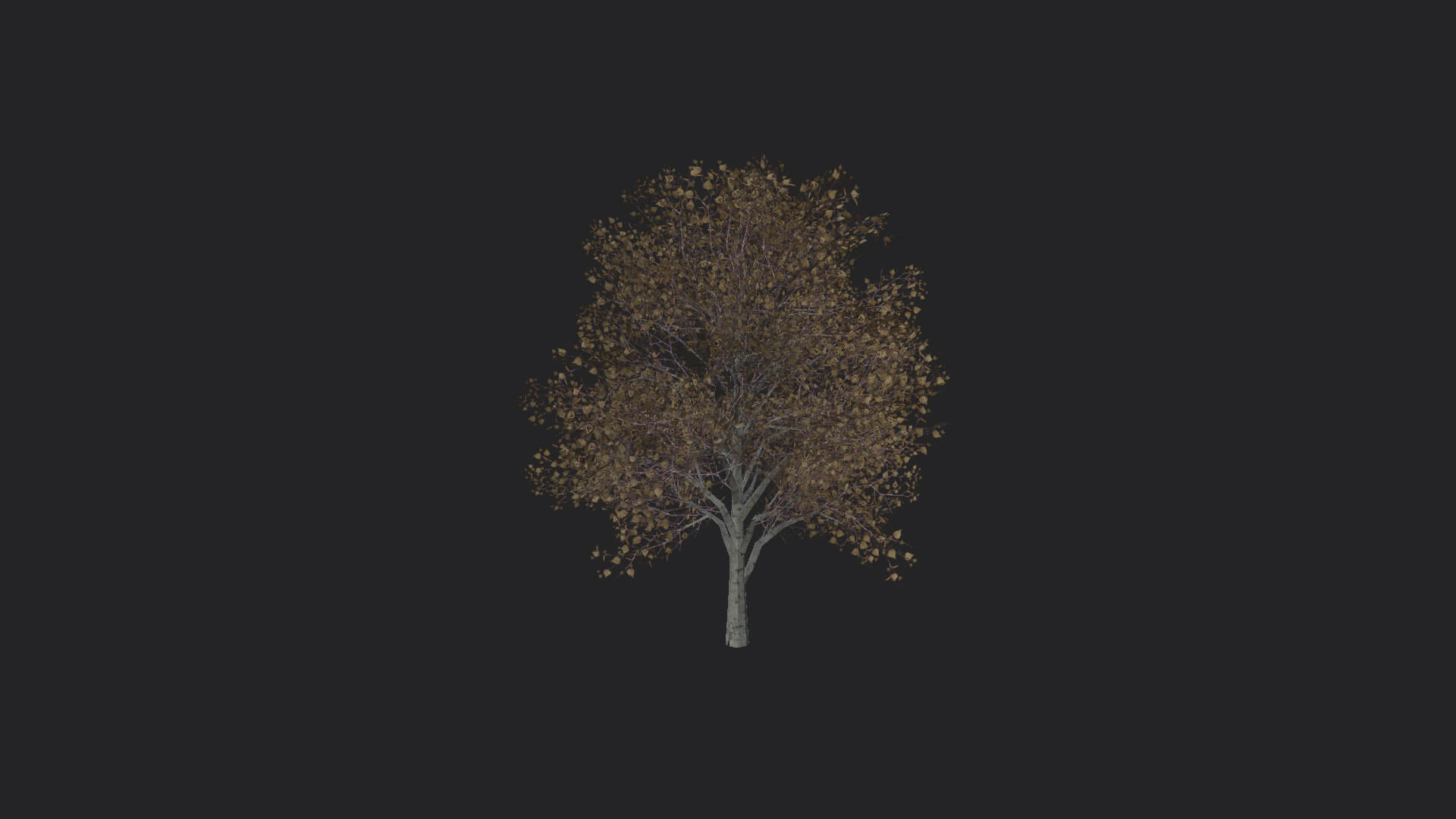 Tree 3D Model 014 by Bubble009