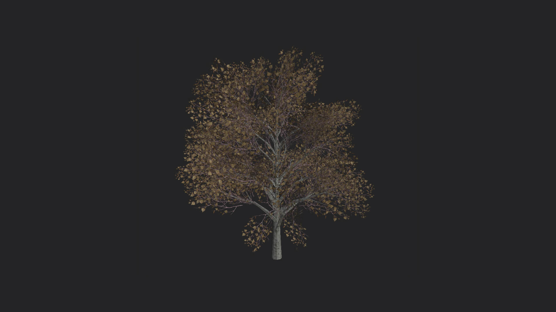 Tree 3D Model 014 by Bubble009
