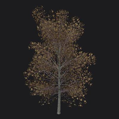 Tree 3D Model 015 by Bubble009