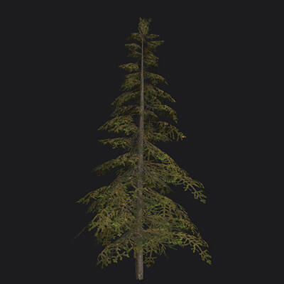 Tree 3D Model 020 by Bubble009