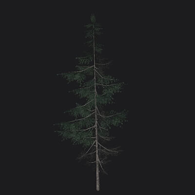 Tree 3D Model 022 by Bubble009