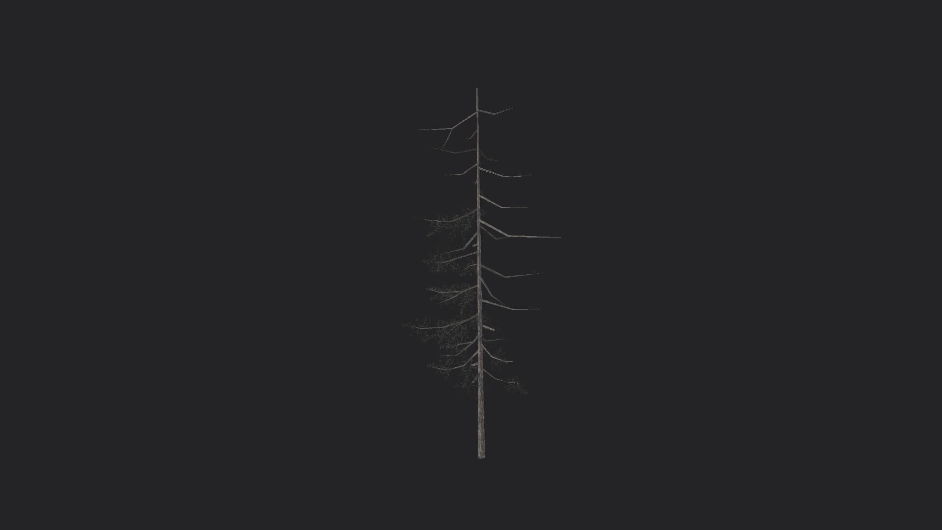 Tree 3D Model 027 by Bubble009