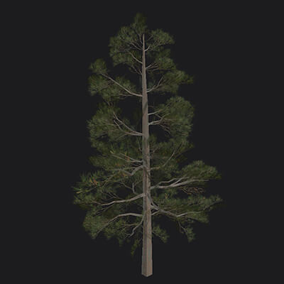 Tree 3D Model 031 by Bubble009