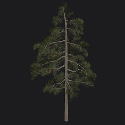 Tree 3D Model 032 by Bubble009