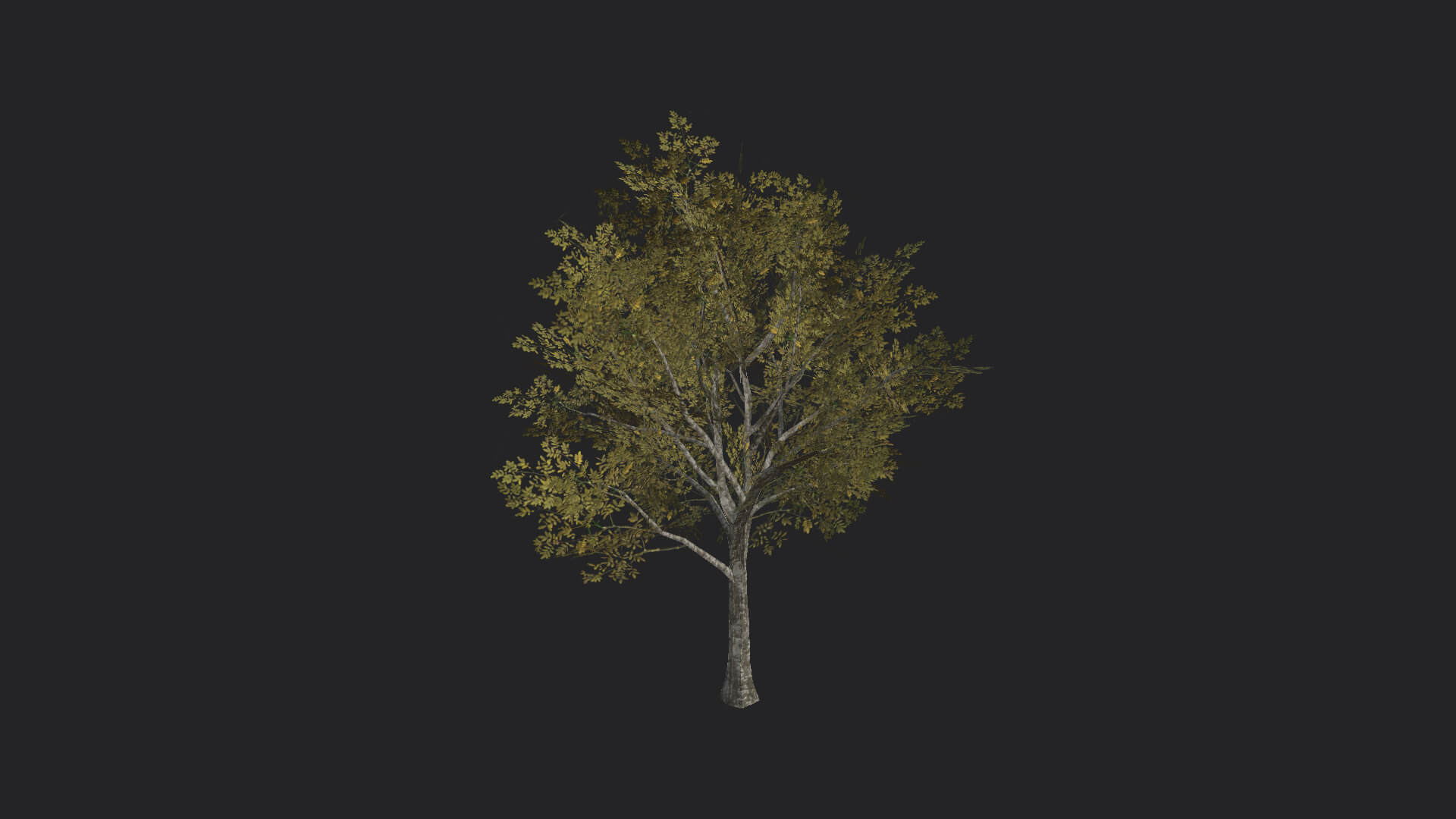 Tree 3D Model 034 by Bubble009