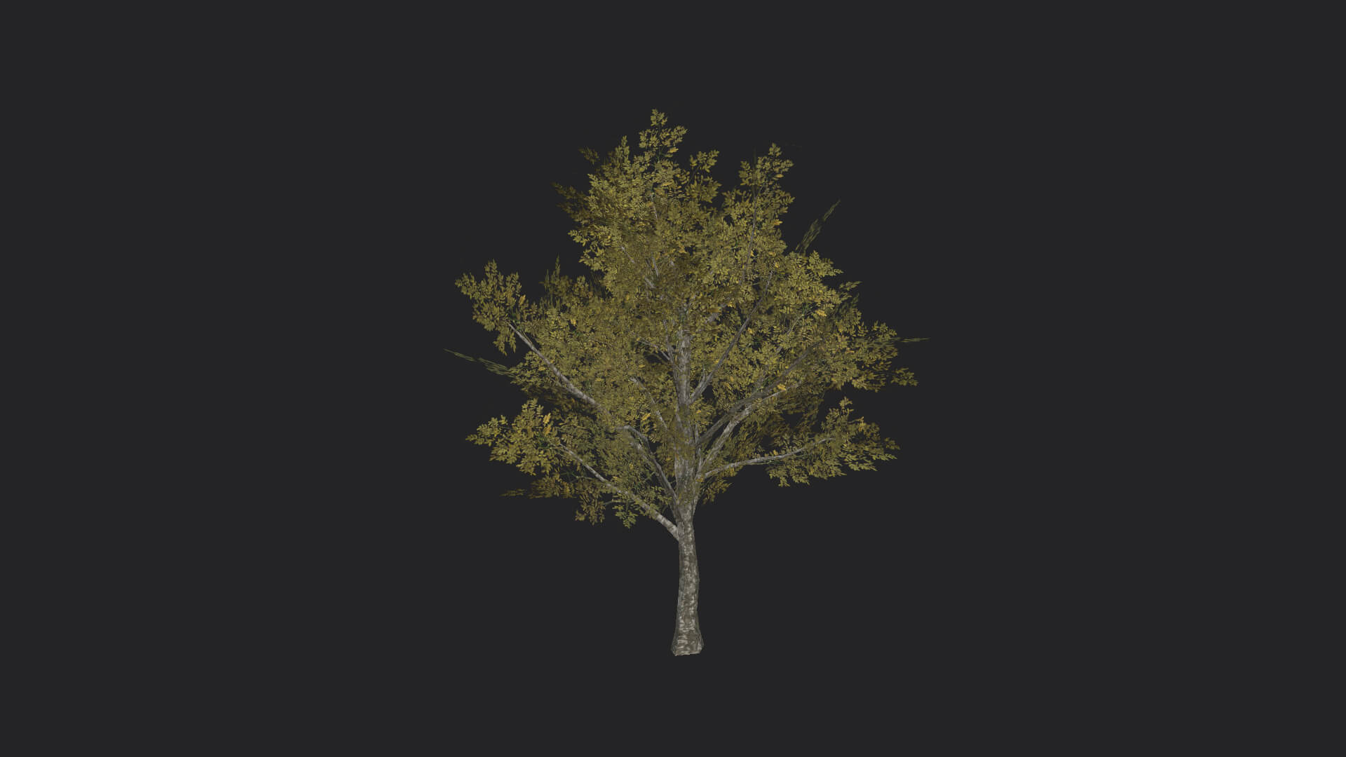 Tree 3D Model 034 by Bubble009