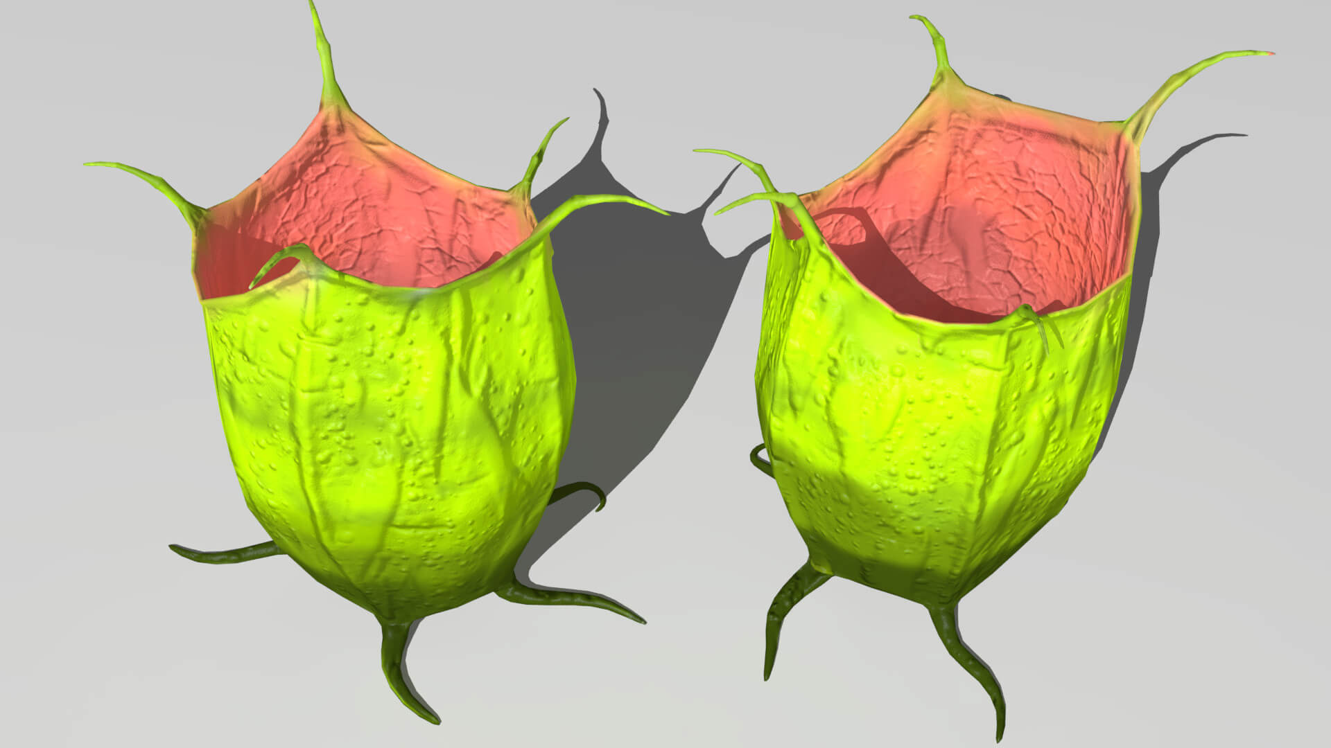 Alien Plants - 3D Model by Buncic
