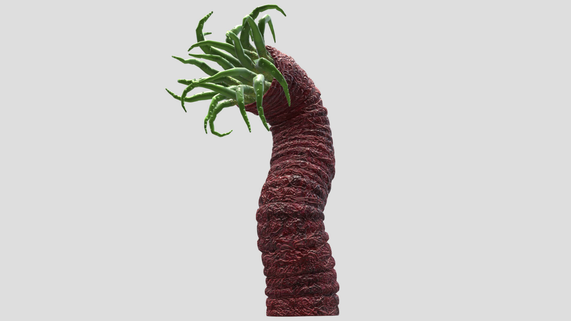 Beast Tentacle - 3D Model by Buncic