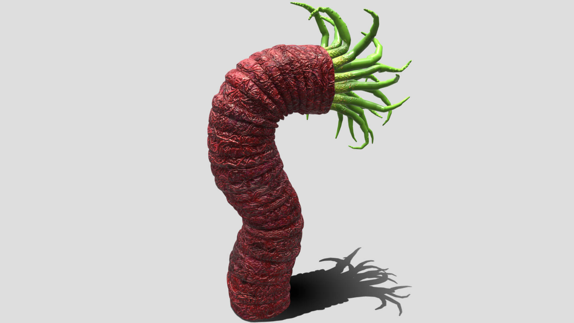 Beast Tentacle - 3D Model by Buncic