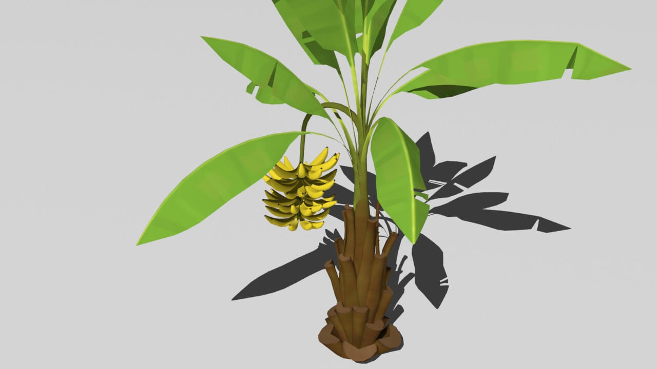 Cartoon Trees - 3D Model by Buncic