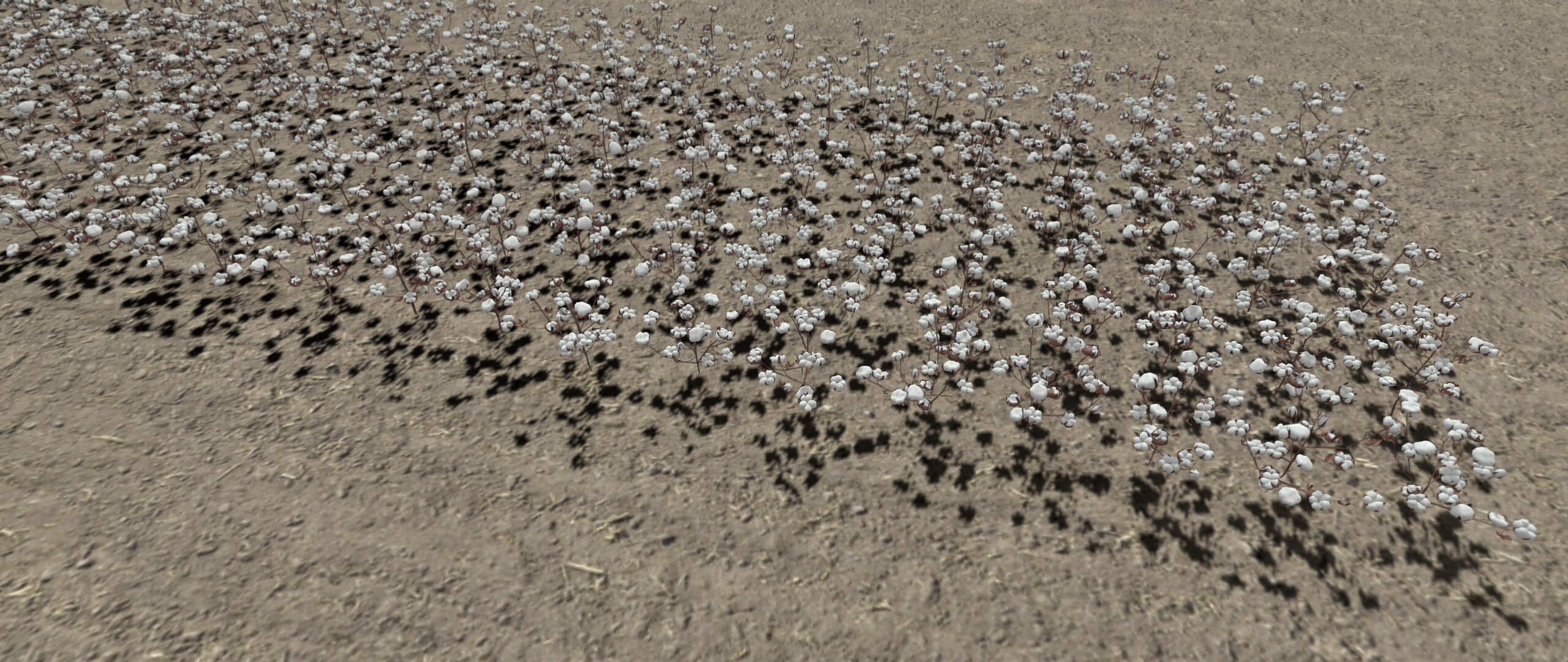 Cotton Plantation - 3D Model by Buncic