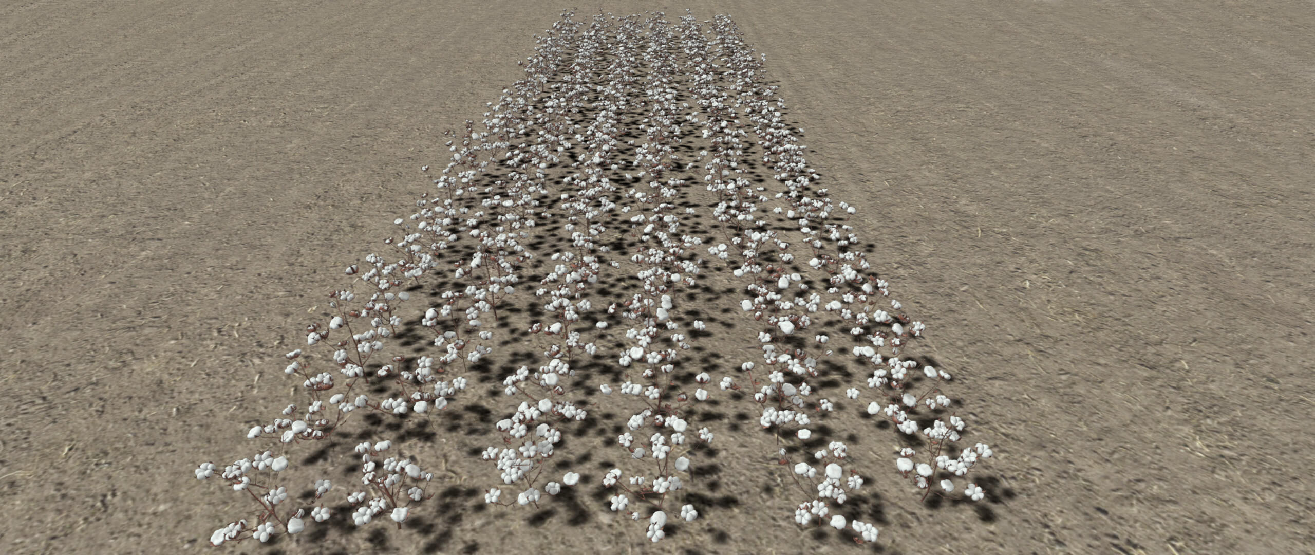 Cotton Plantation - 3D Model by Buncic