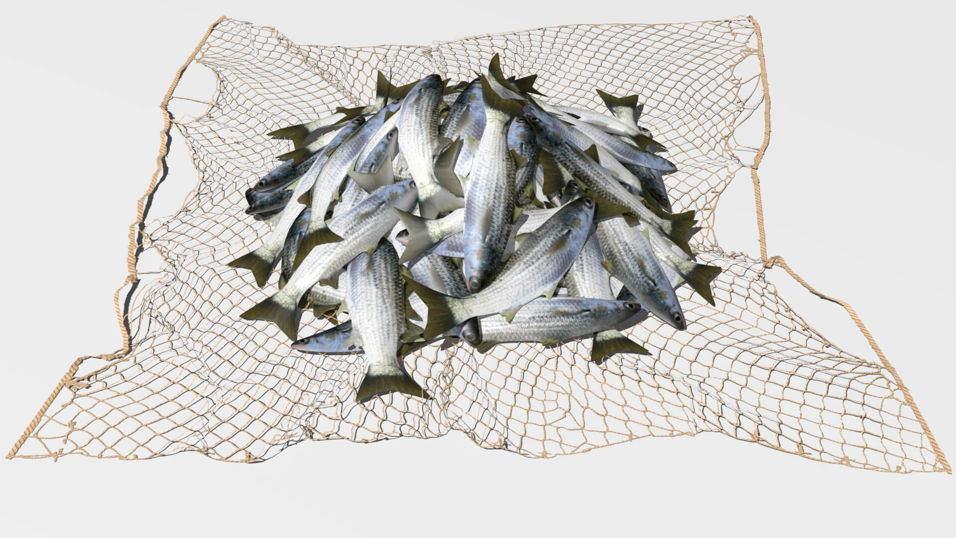 Fishing Net Low Poly - 3D Model by Buncic