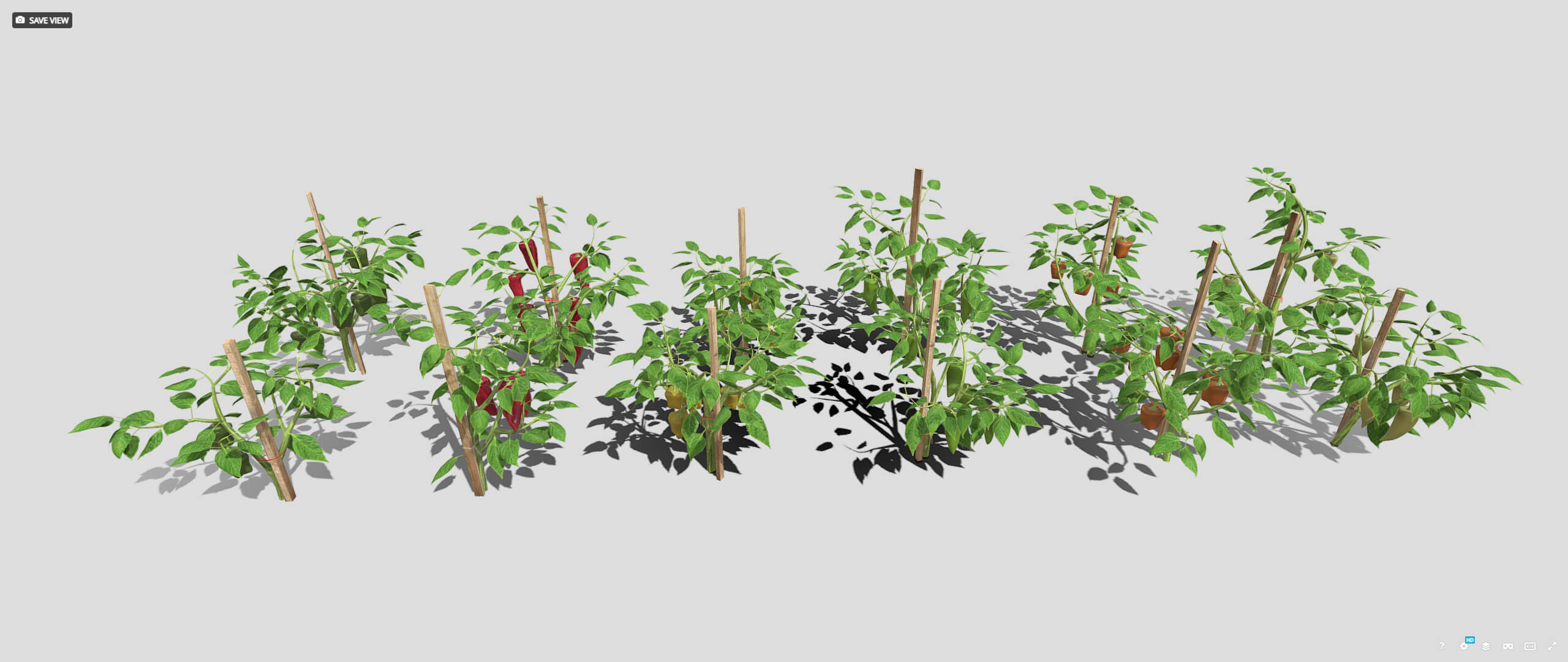 Pepper Plantation - 3D Model by Buncic