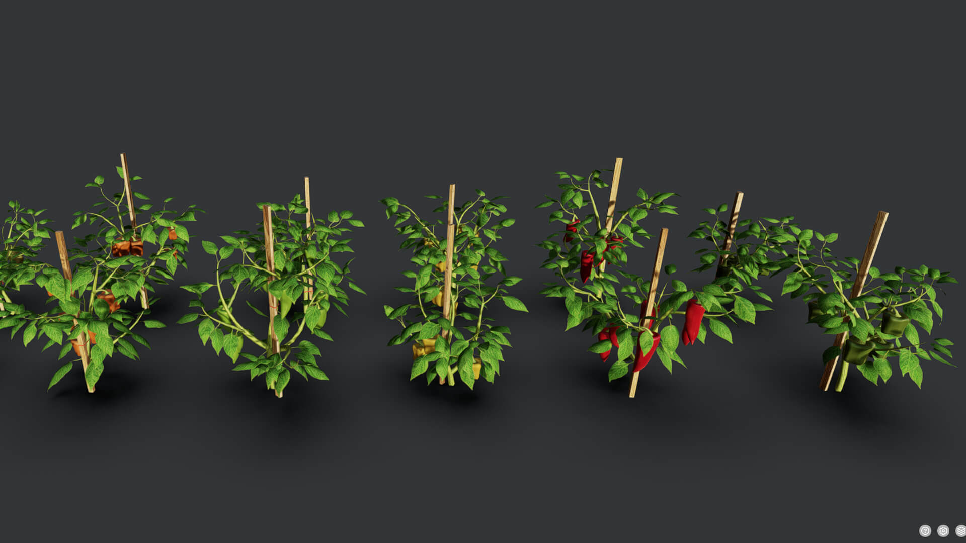 Pepper Plantation - 3D Model by Buncic