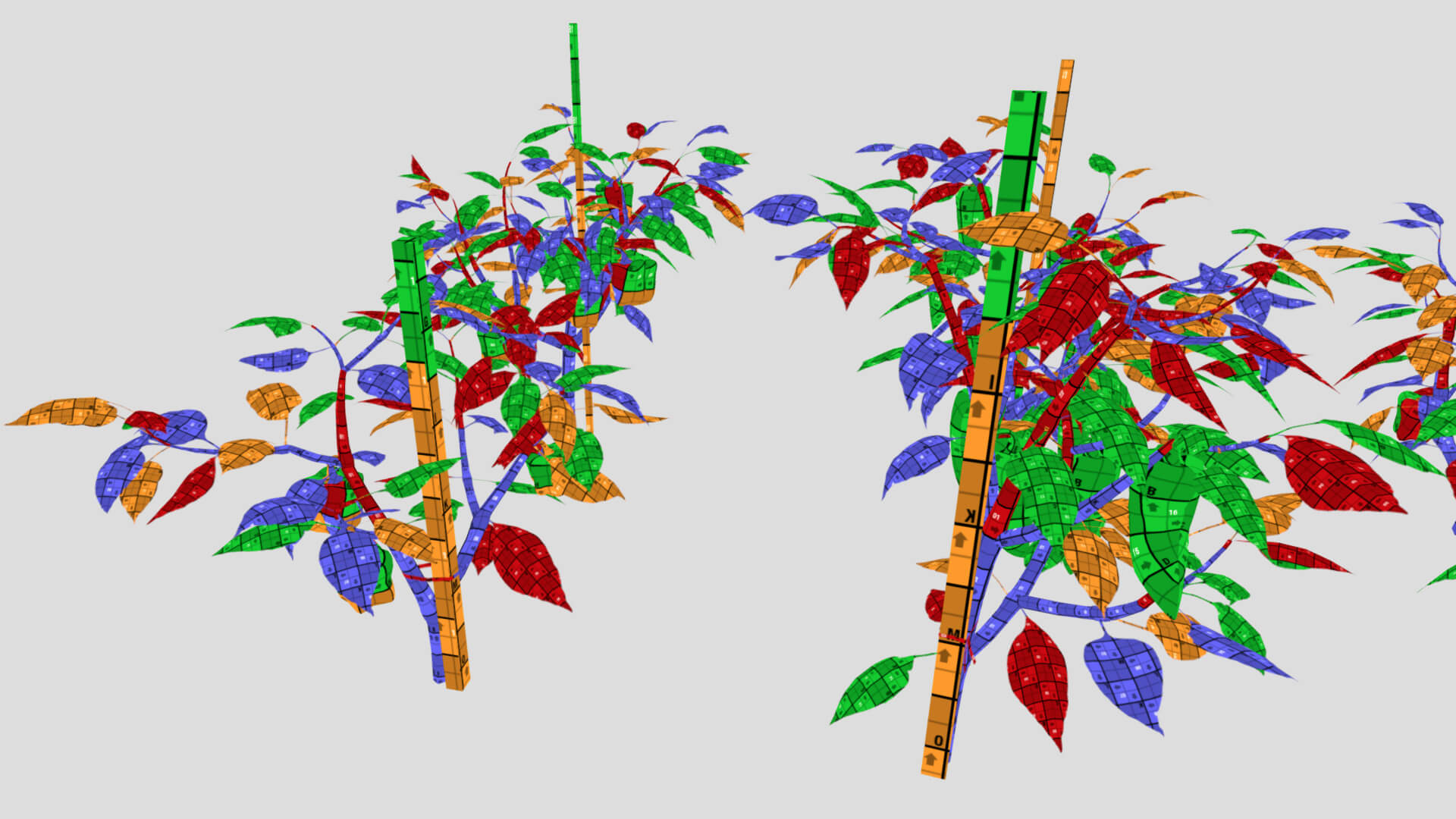 Pepper Plantation - 3D Model by Buncic