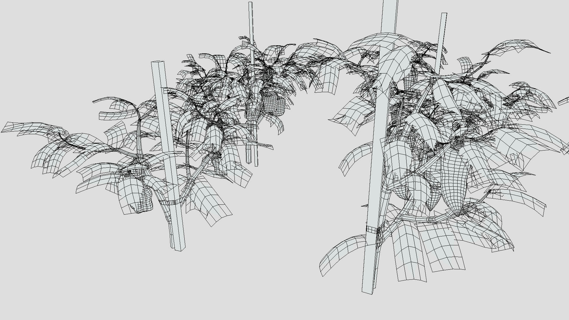 Pepper Plantation - 3D Model by Buncic