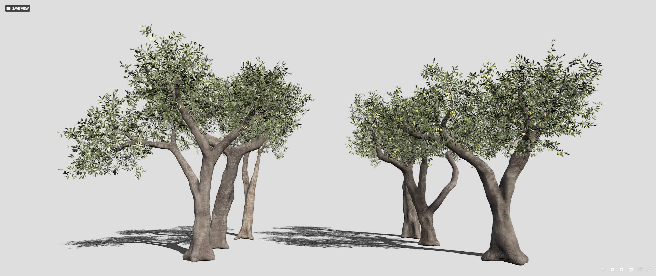 Six Olive Trees - 3D Model by Buncic