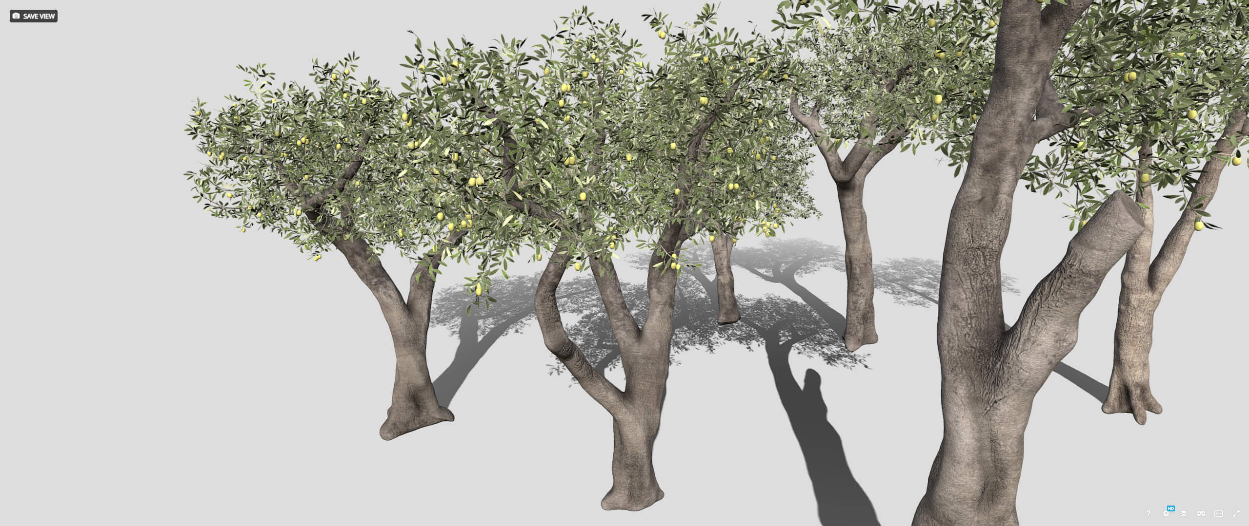 Six Olive Trees - 3D Model by Buncic