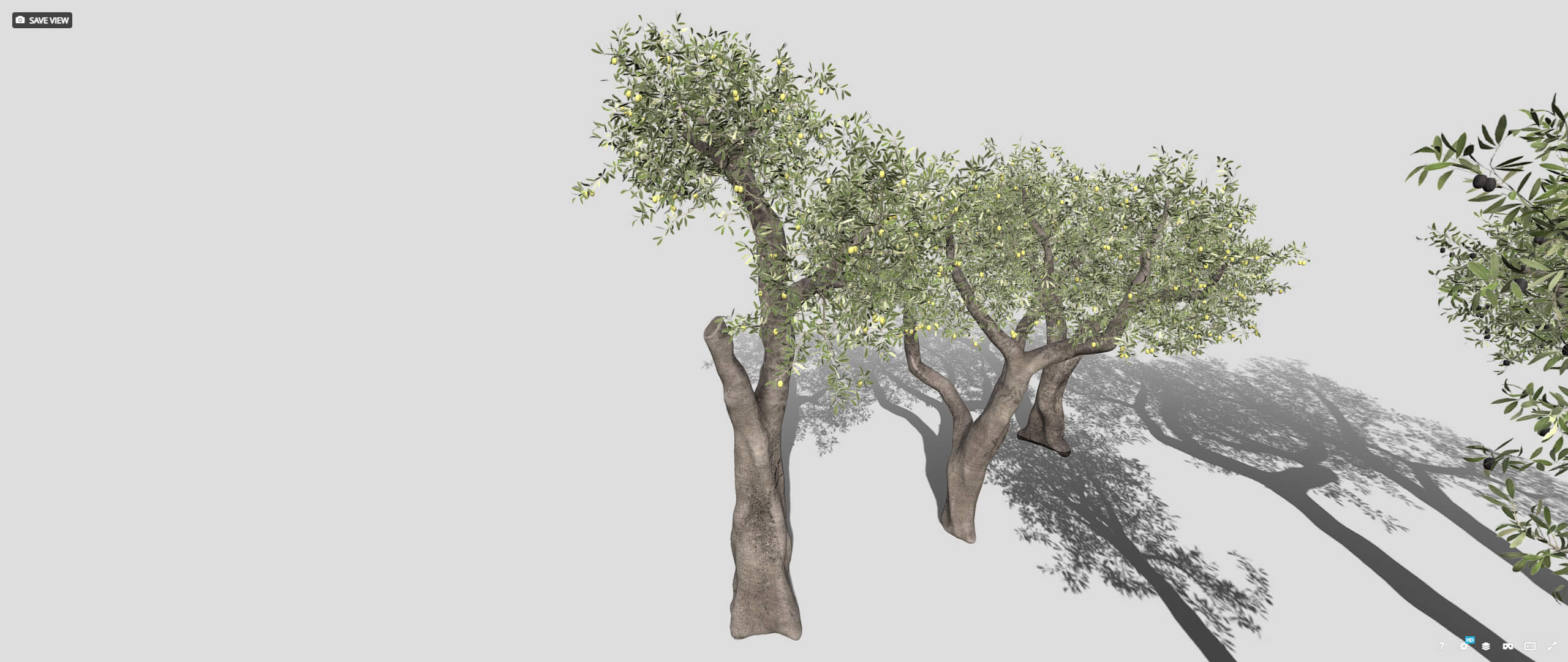 Six Olive Trees - 3D Model by Buncic