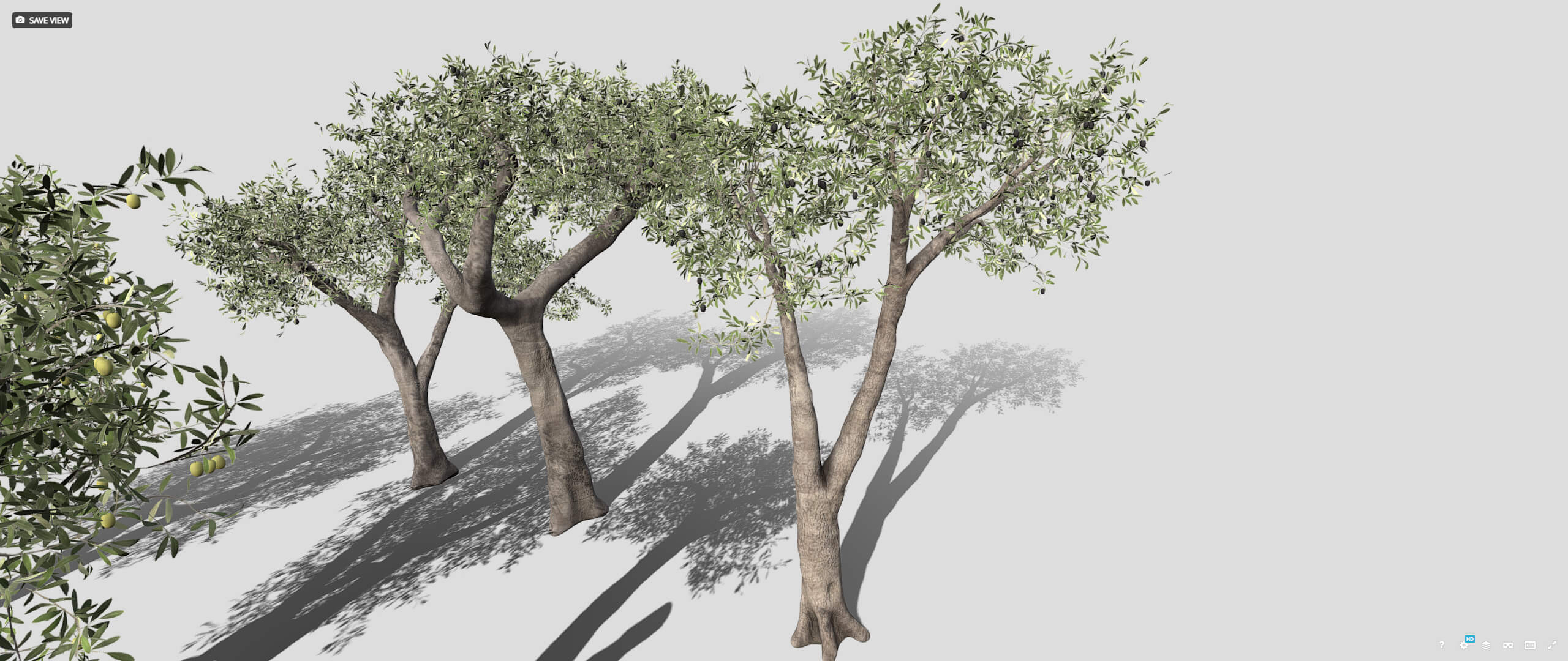 Six Olive Trees - 3D Model by Buncic
