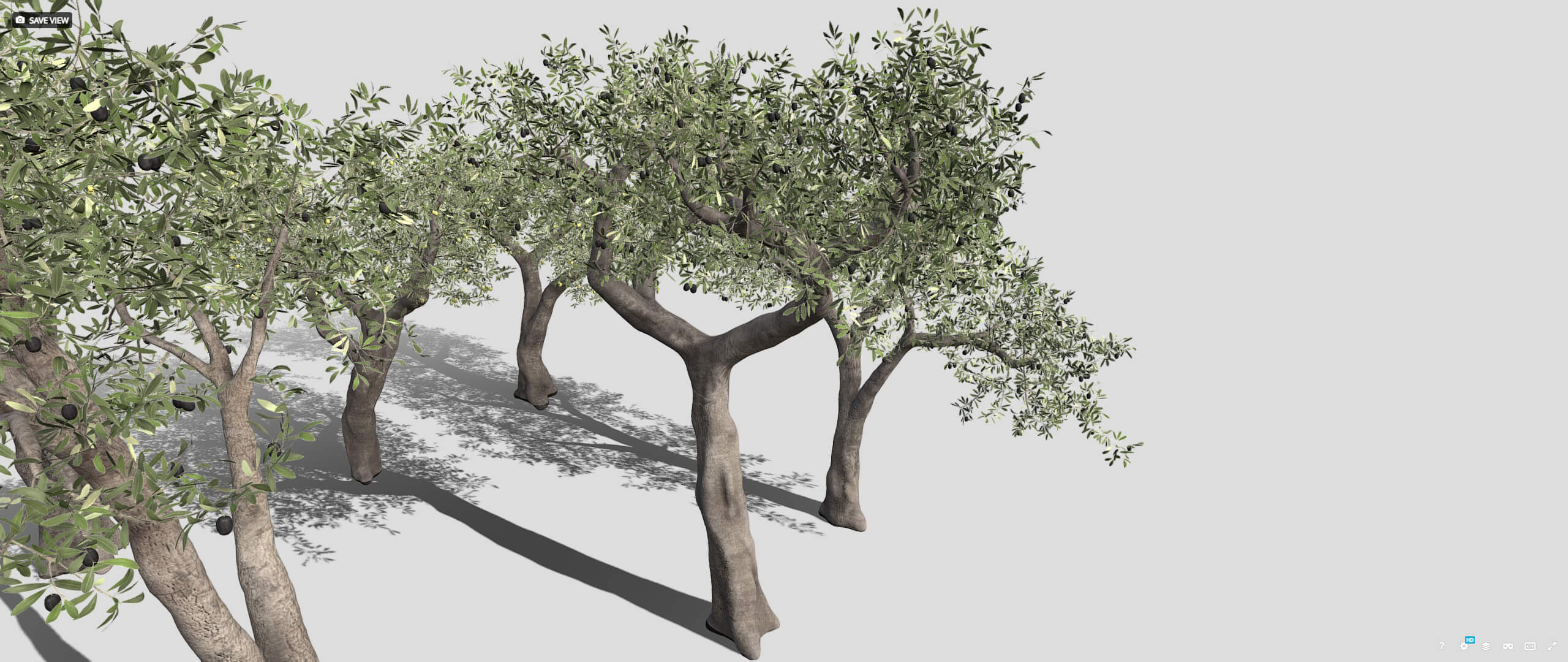 Six Olive Trees - 3D Model by Buncic