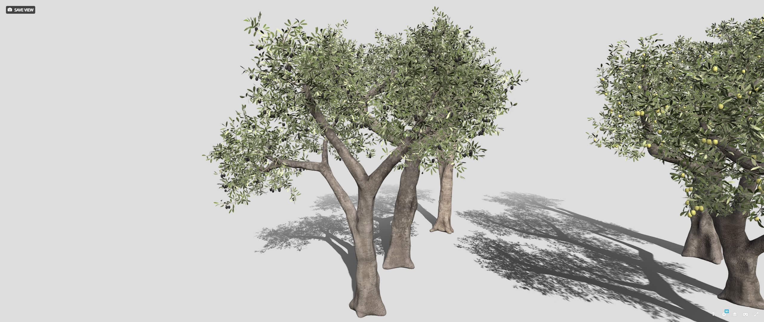 Six Olive Trees - 3D Model by Buncic