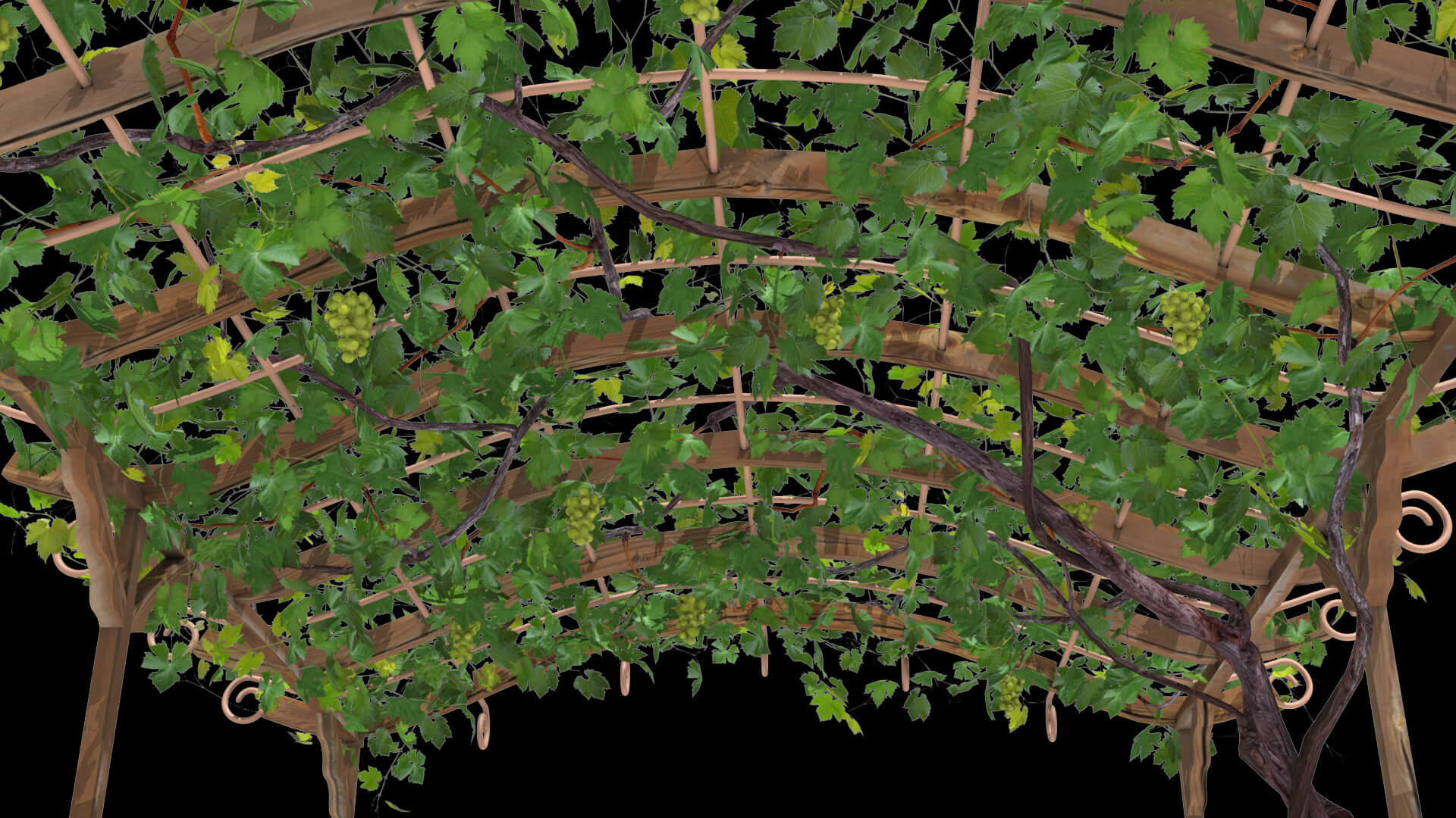 Vine Pergola - 3D Model by Buncic