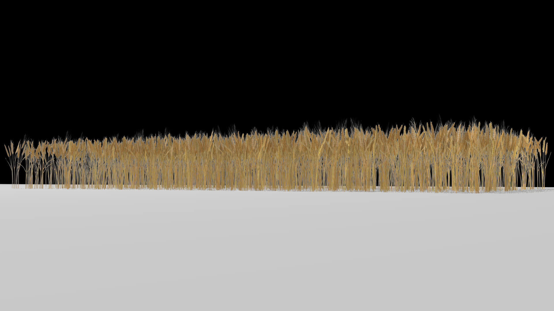 Wheat Field - 3D Model by Buncic