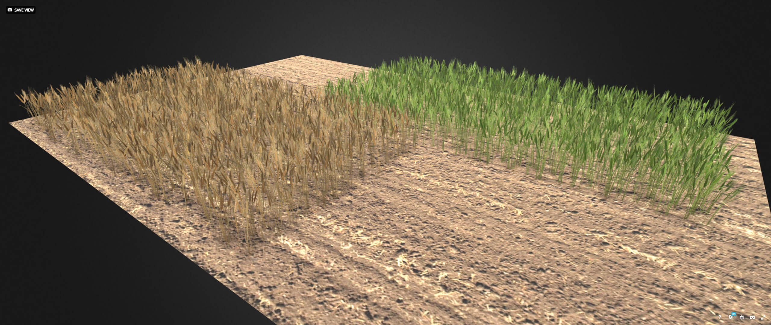 Wheat Field - 3D Model by Buncic