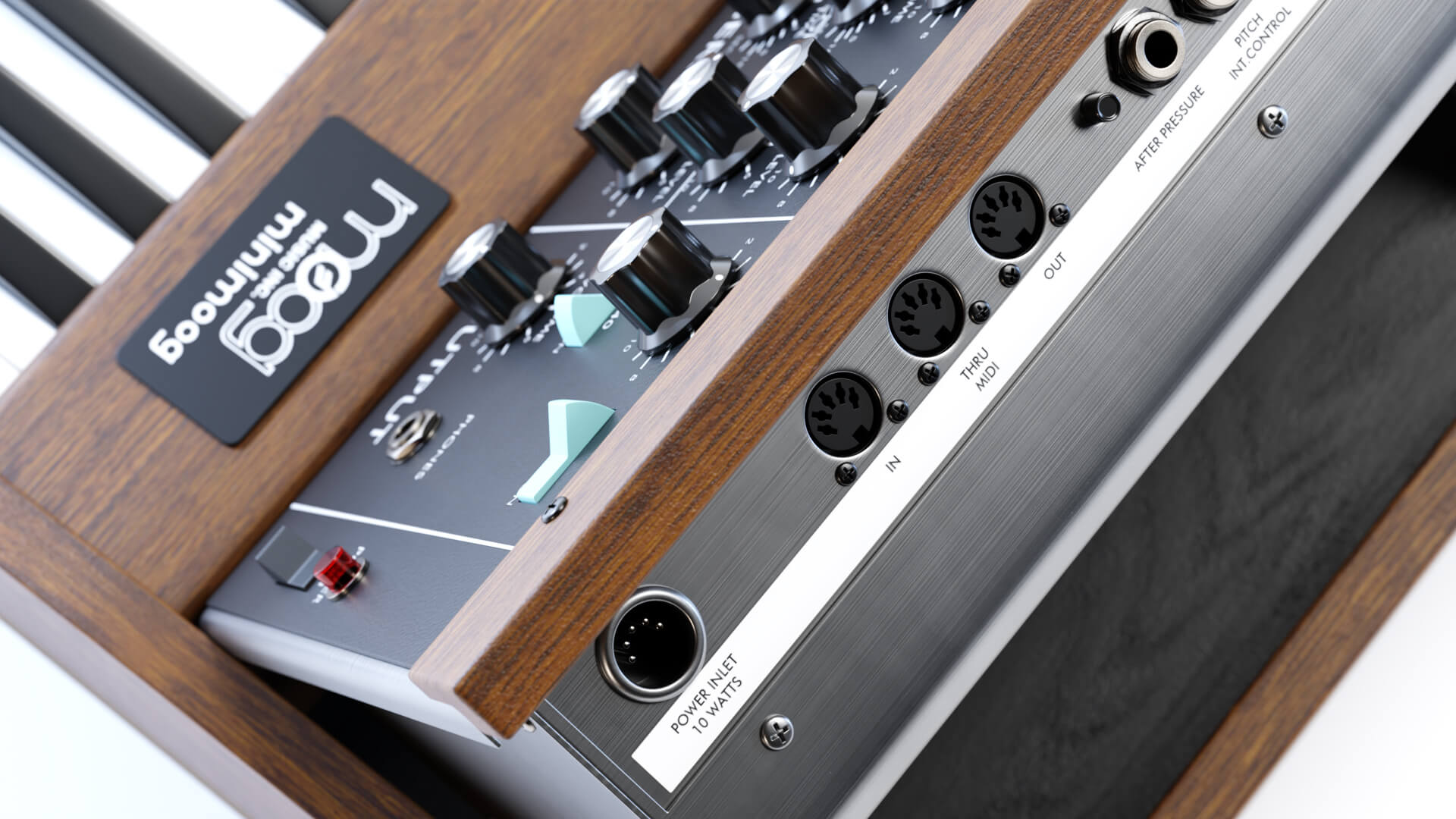 Minimoog Model D by cagatay_cetin