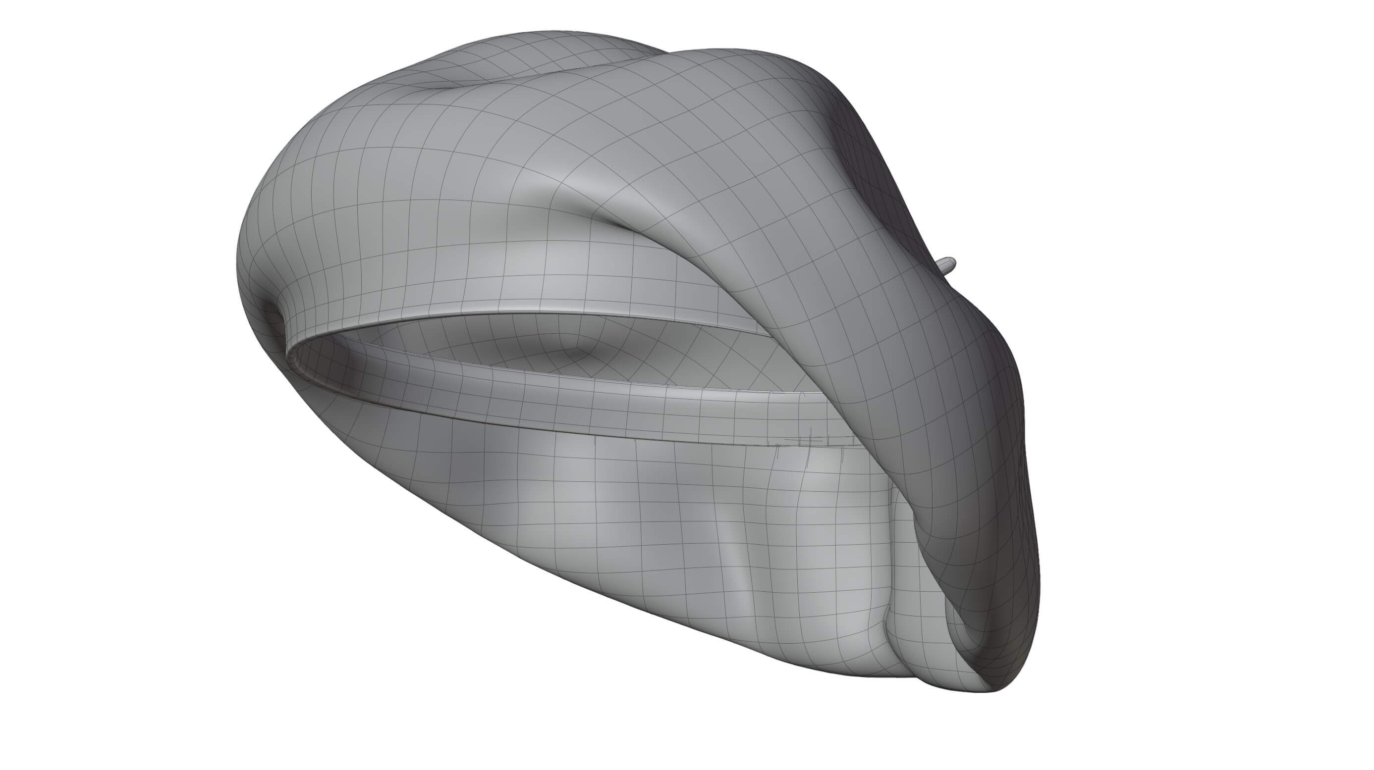 Wool Beret - 3D Model by cagatay_cetin