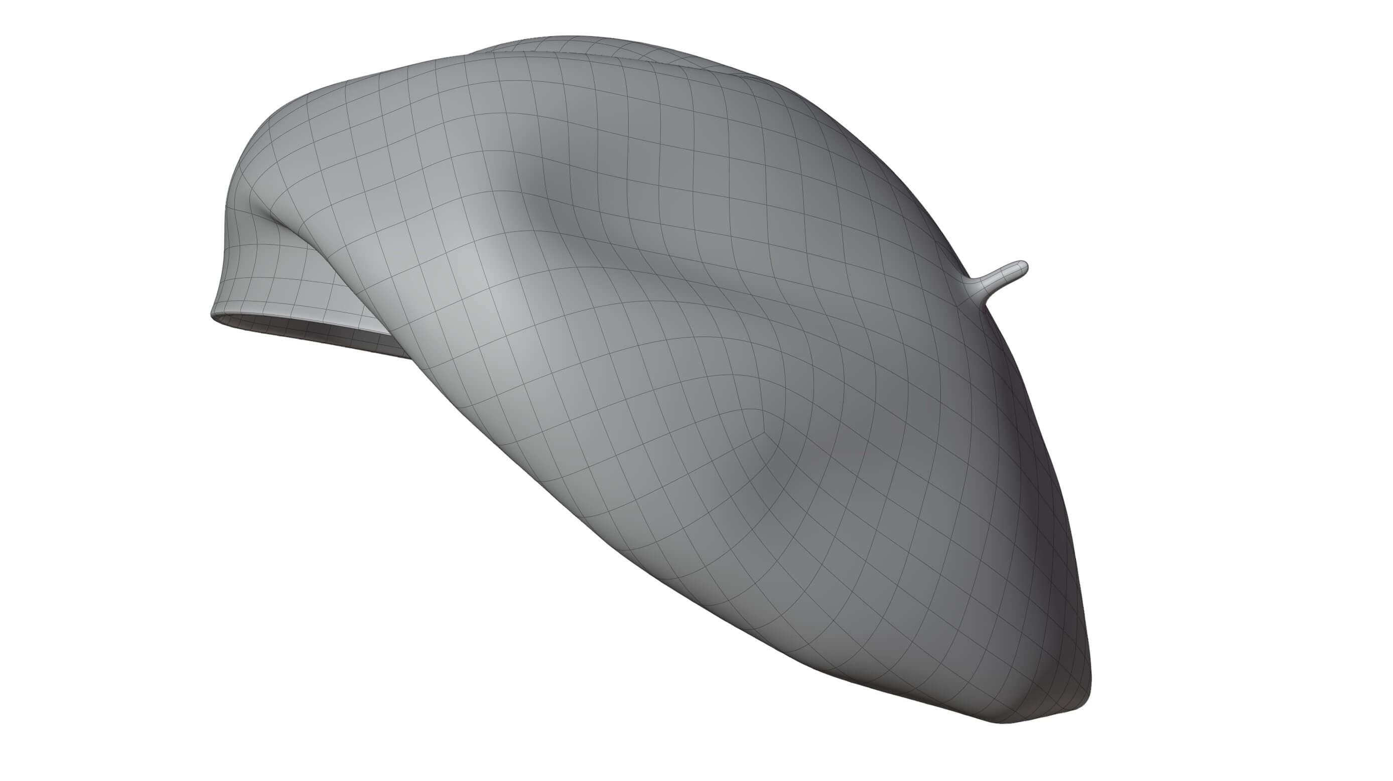 Wool Beret - 3D Model by cagatay_cetin