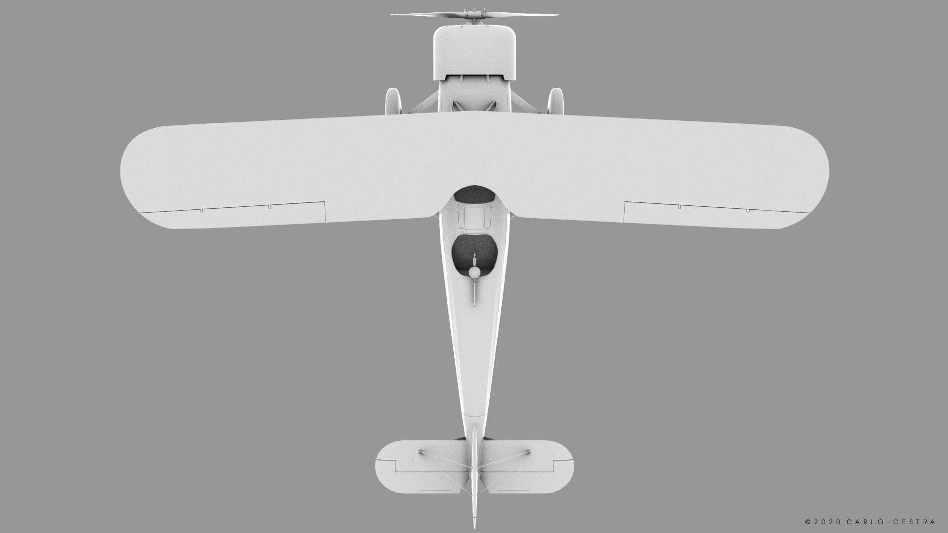 Aichi D1A2 Hokoku-127 3D Model by Carlo Cestra